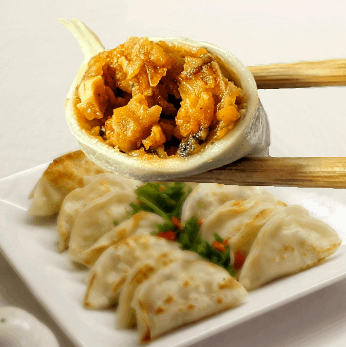 Les Délicieux Dumplings au Poulet – Dumpling Fusion